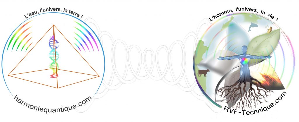 Logo RVF.HQ - Communication Animale Shaina