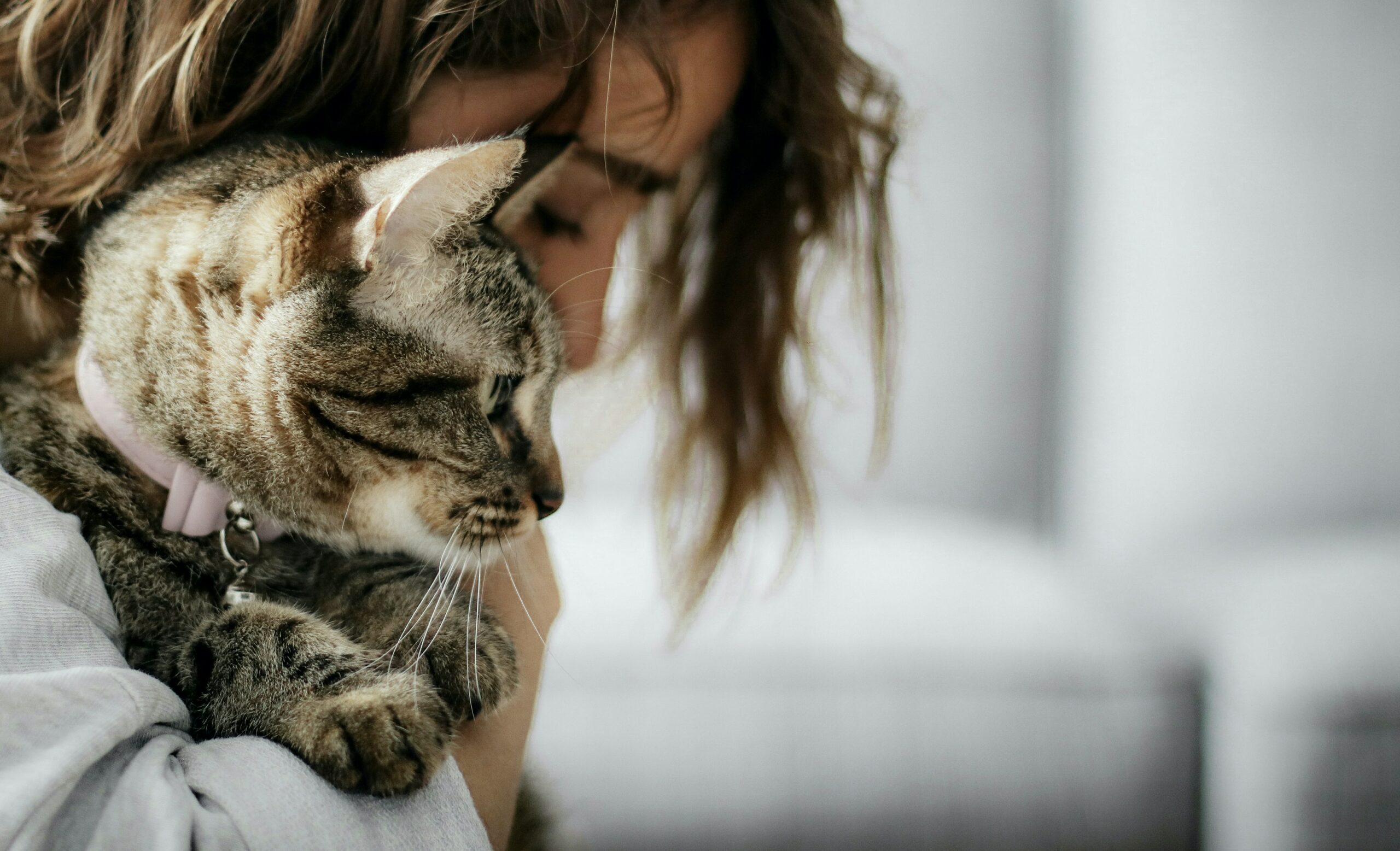 Comment les animaux nous révèlent nos émotions profondes